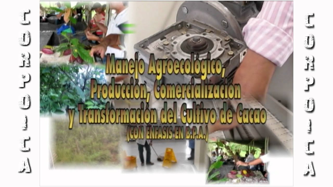 MANEJO AGROECOLÓGICO, PRODUCCIÓN COMERCIALIZACIÓN Y TRANSFORMACIÓN DE ...