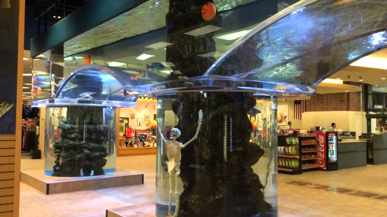 Scheels Sparks, NV - YouTube