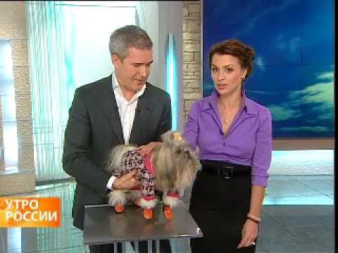 Утро России - АНОНСЫ 2