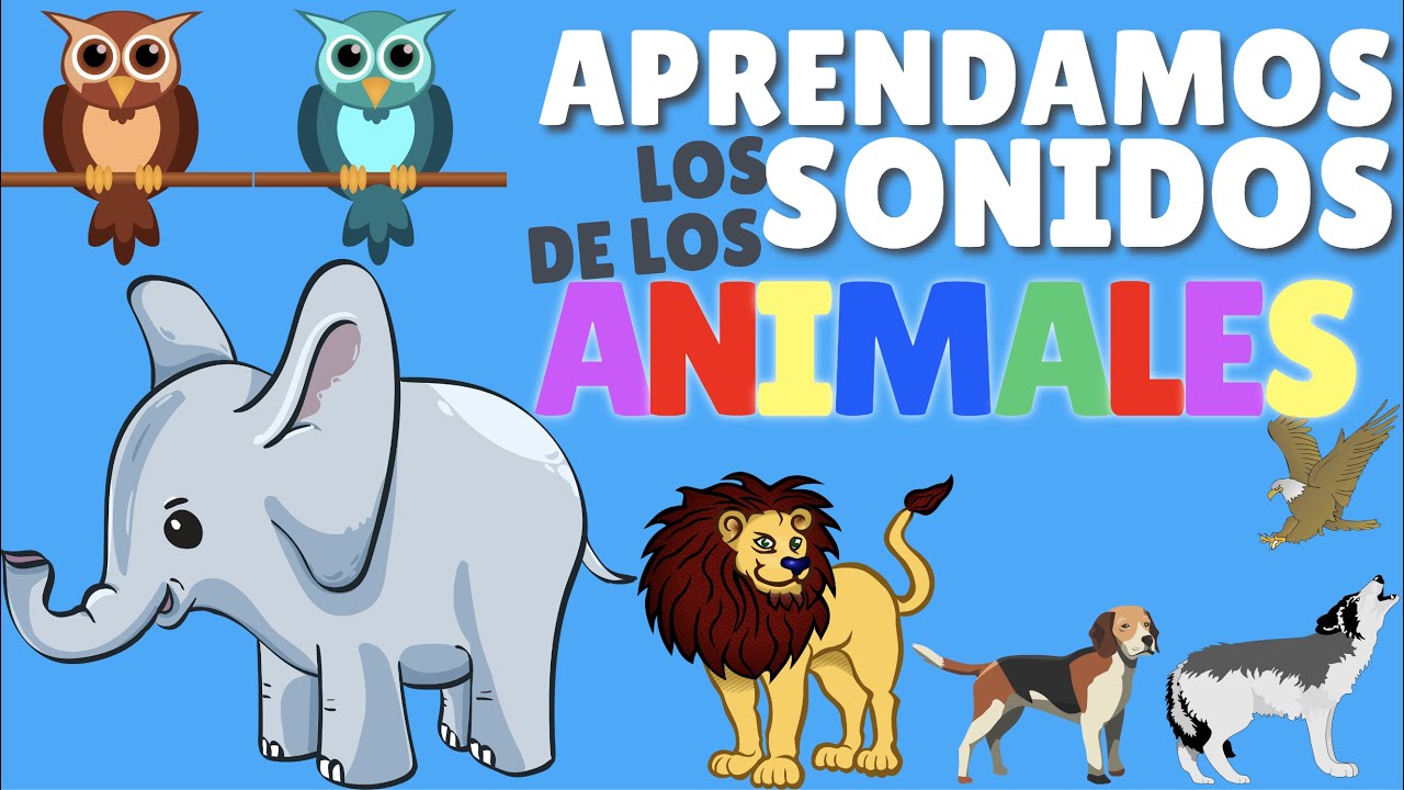 Juguemos a aprender los sonidos de los animales 2019 top. Home school ...