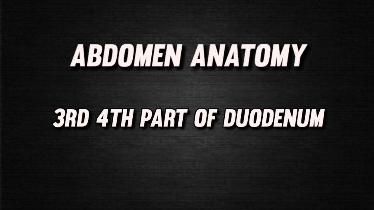 DUODENUM | 3rd and 4th PART OF DUODENUM | ABDOMEN ANATOMY | BDC | ft ...