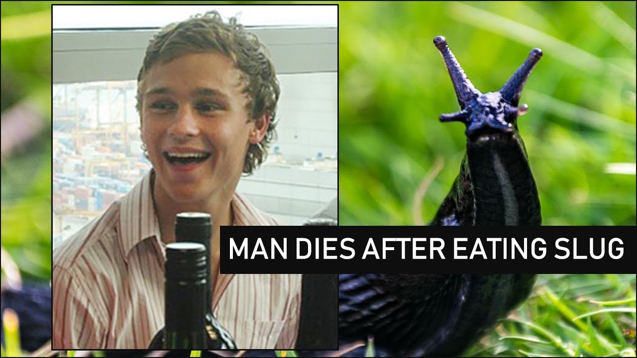 Australian Man Dies After Eating Slug - YouTube