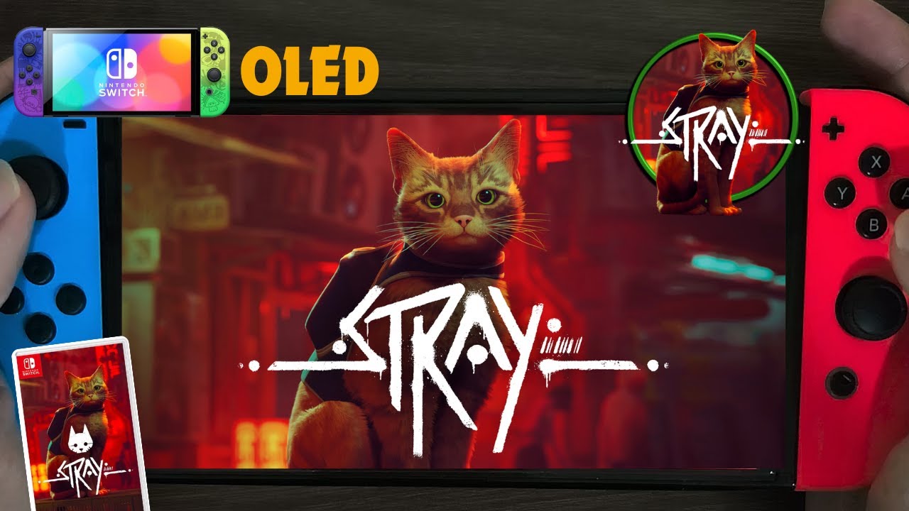 Stray on Nintendo Switch OLED is Amazing! - YouTube