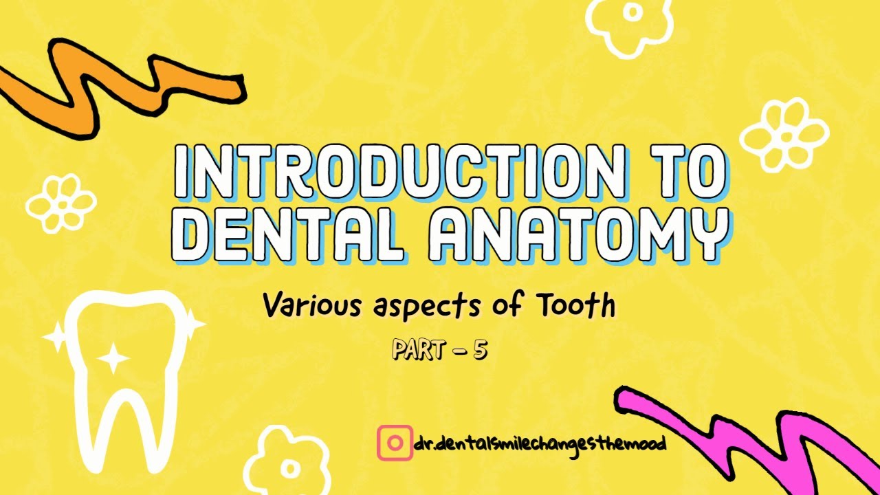 Various Aspects of Tooth | Introduction to #dentalanatomy | Part - 5 # ...