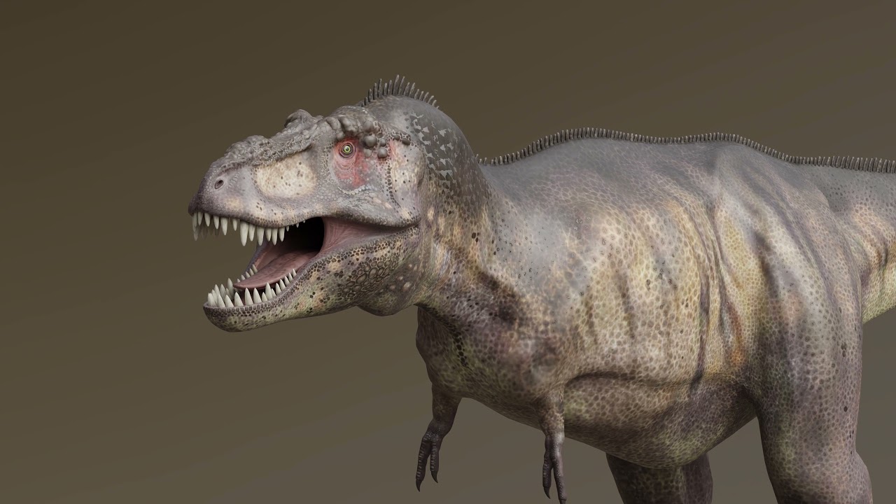 Rawr - animation test - YouTube