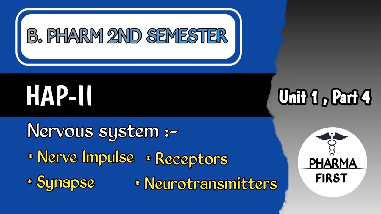 Nerve impulse | Receptors | Synapse | Neurotransmitters || HAP-2 unit 1st part - 4 - YouTube