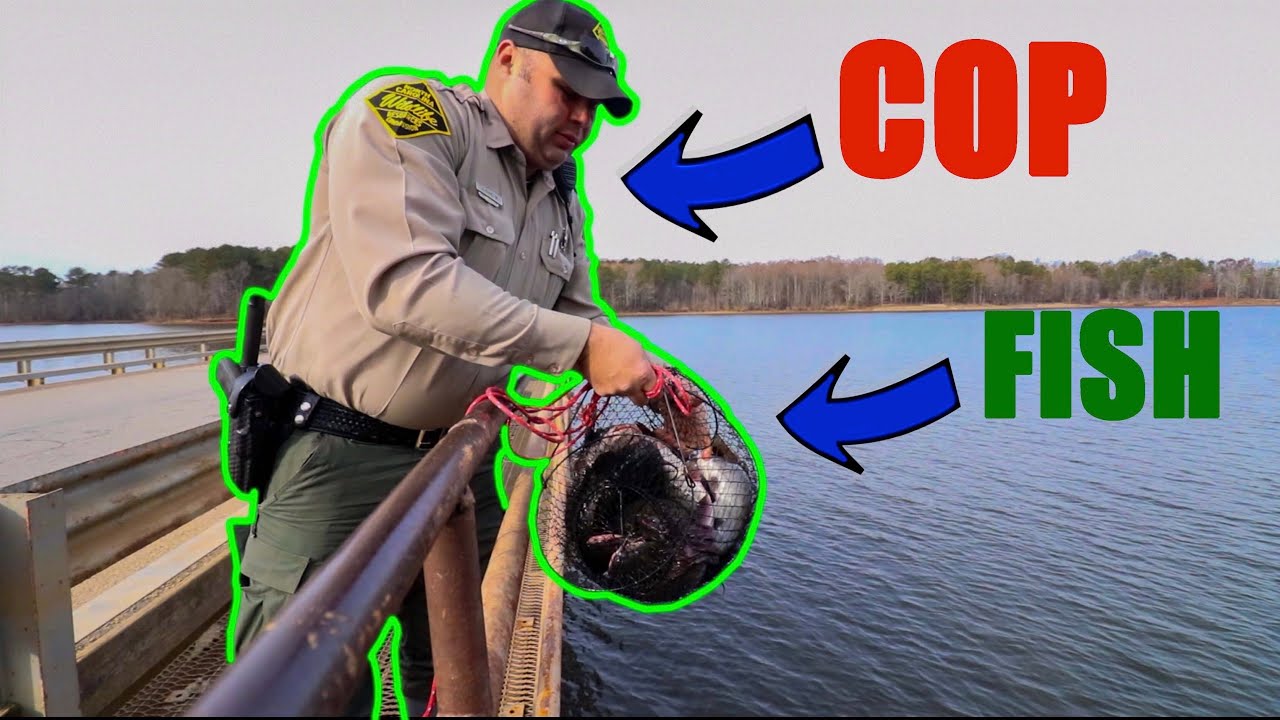 Called The COPS While Magnet Fishing (Saved Fish) - YouTube