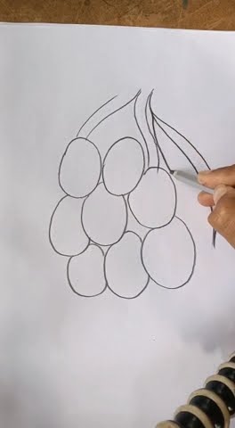 how to draw litchi very easilly stepmby step \\ #drawing #art #draw # ...