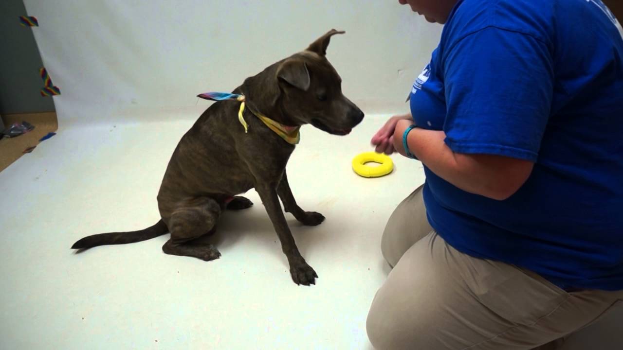 Coulson, Work it boy! Show us what you got! - YouTube