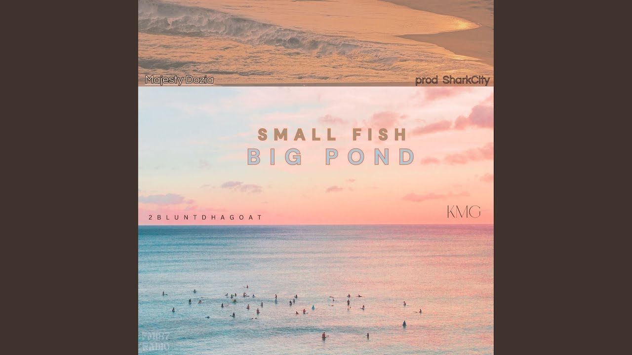 Small Fish Big Pond - YouTube