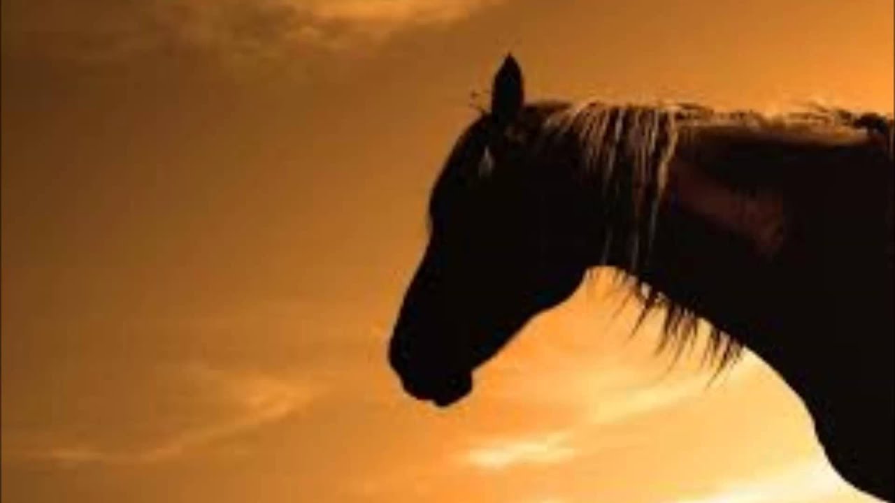 Cheval Sombre - Hyacinth House (The Doors Cover) - YouTube