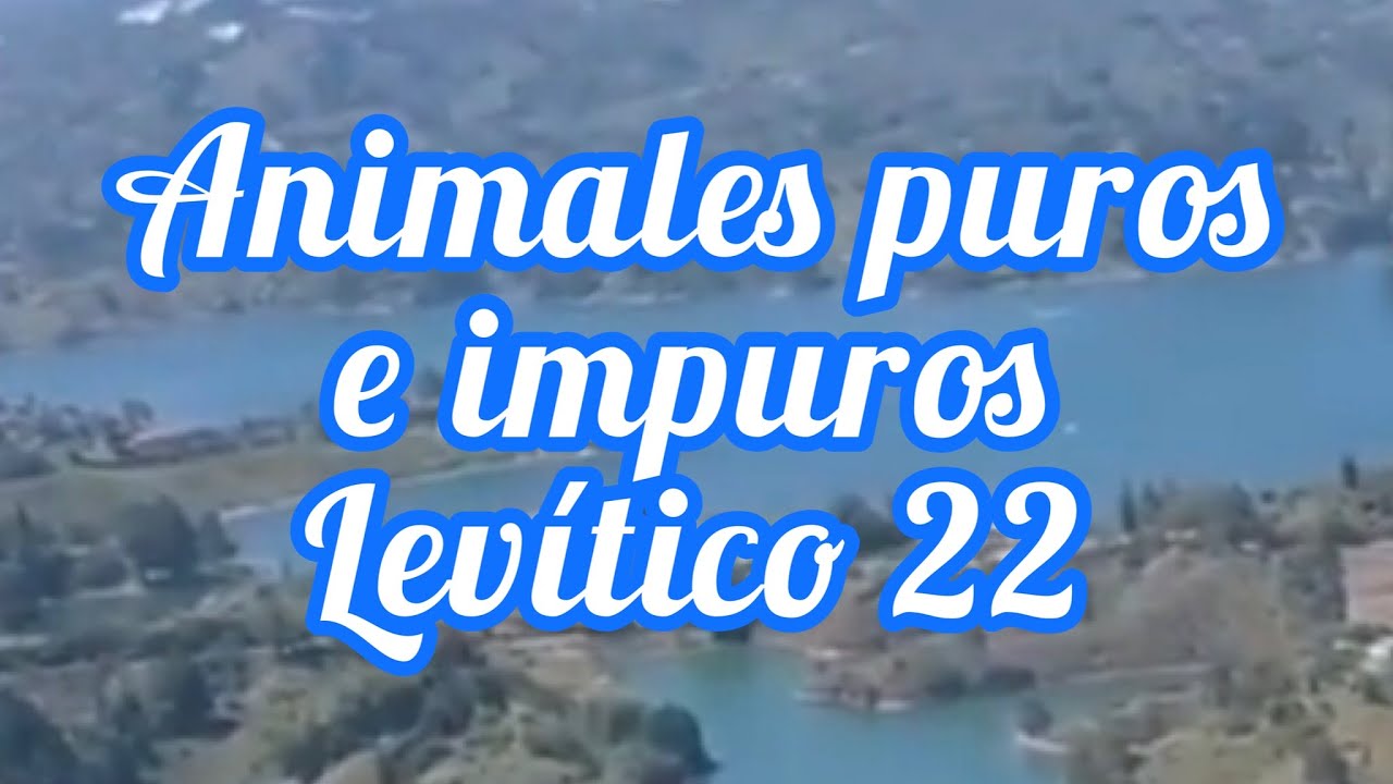 Biblia Animales Puros e Impuros y Datos muy interesantes - Parte 2 ...