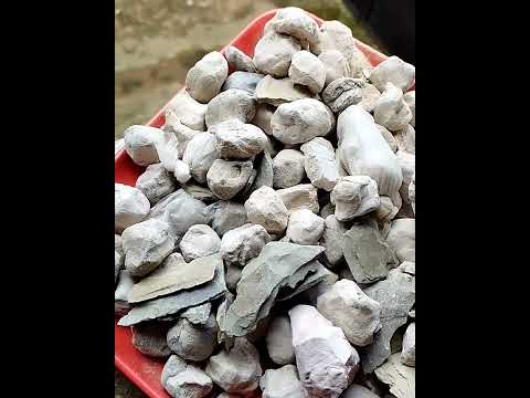 #nzu #ulo #ayilo #umcako #chalkasmr #addiction crunching video(A big ...