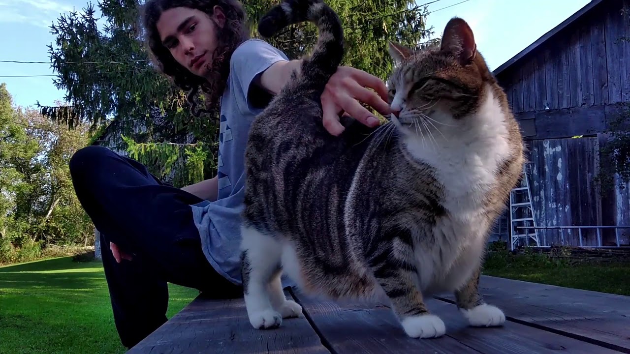 Going Home - Jake Harder (Official Video) - YouTube