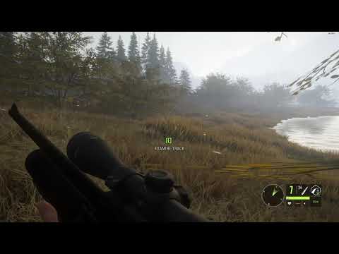 Early morning hunt at Balmont Lake - As it Happened - YouTube