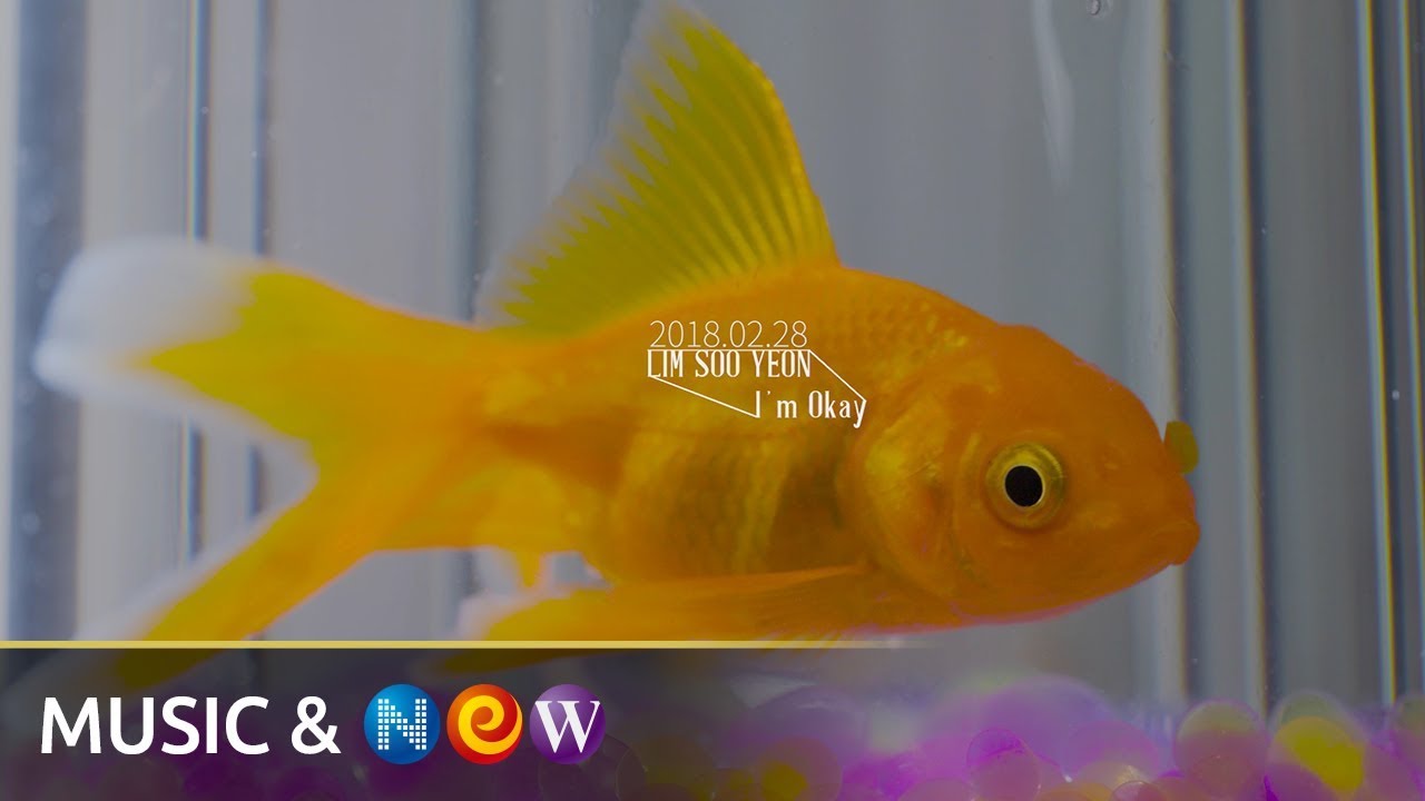 [Teaser] LIM SOO YEON(임수연) - I'm Okay - YouTube
