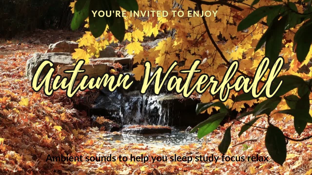 Autumn Forest Waterfall TV Screensaver | Fall Ambience with Relaxing ...