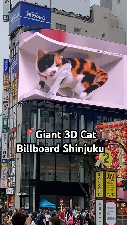 📍Giant 3D Cat Billboard Shinjuku | #3DCatBillboardShinjuku #3Dcat #Shinjuku #3DBillboard - YouTube