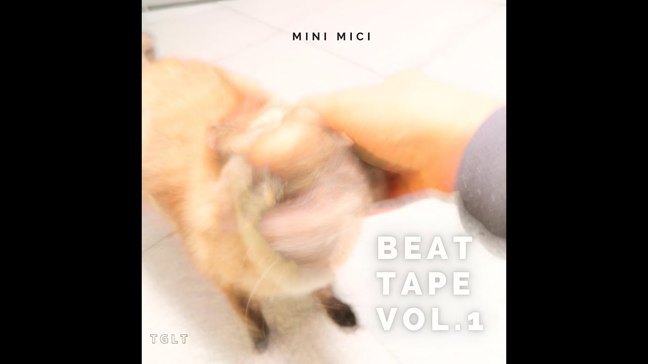 13. Mini Mici - Shiat Boyyy - YouTube