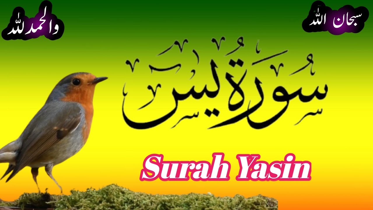 Surah Yasin | Yasin Surah Full | Yaseen Sharif | Quran Recitation | # ...