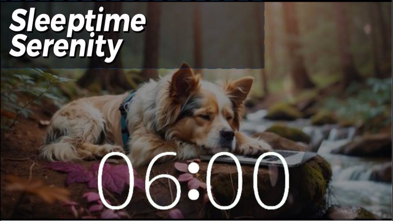 Serenity in Six: 6 Minute Tranquil Interlude Countdown Timer for Rest, Study Break, Relaxation ...