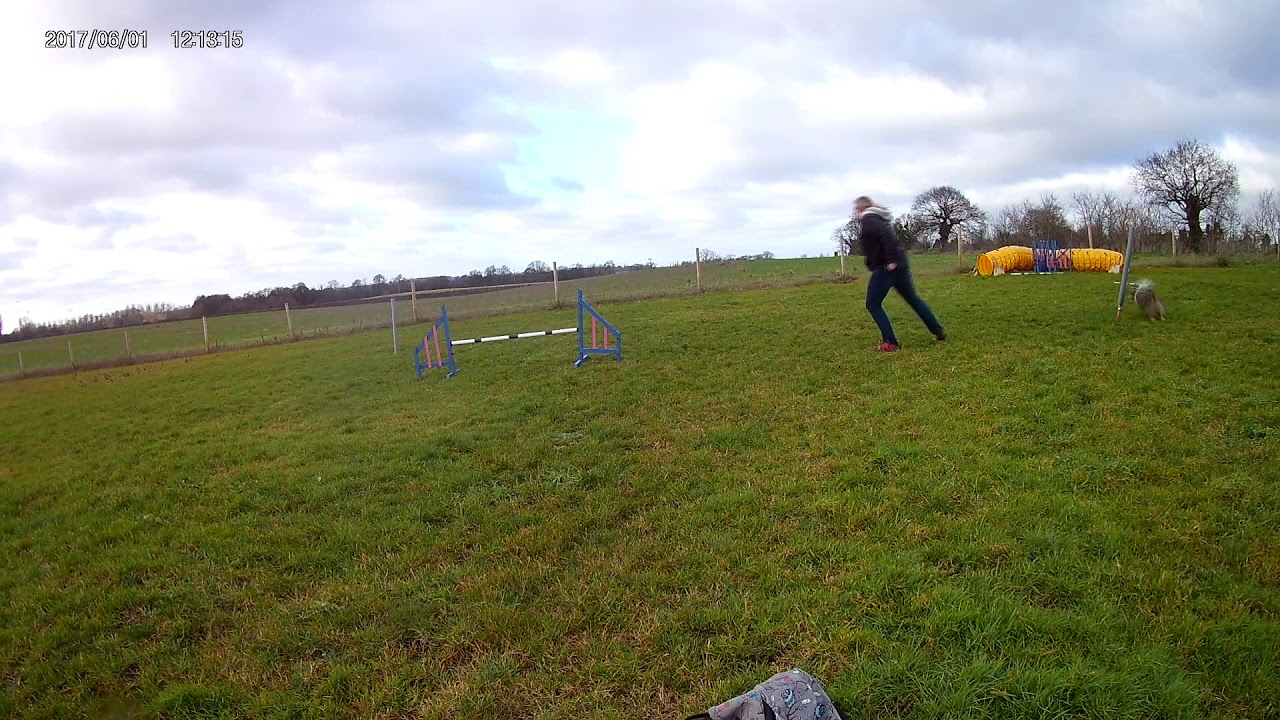 Merlin BP#1 Jump Exercises 9-11 28 January 2019 - YouTube