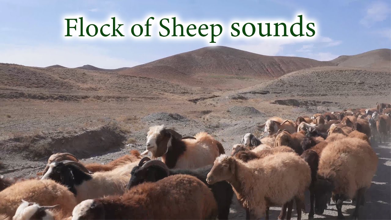 spiritualfity - Blog