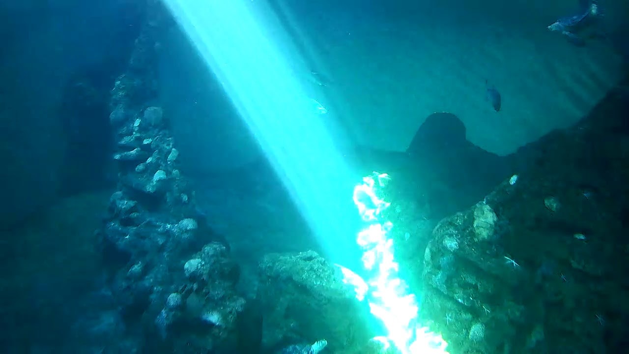 LIVE - Mavis's Rescue Hideaway Sea Turtle Webcam - YouTube