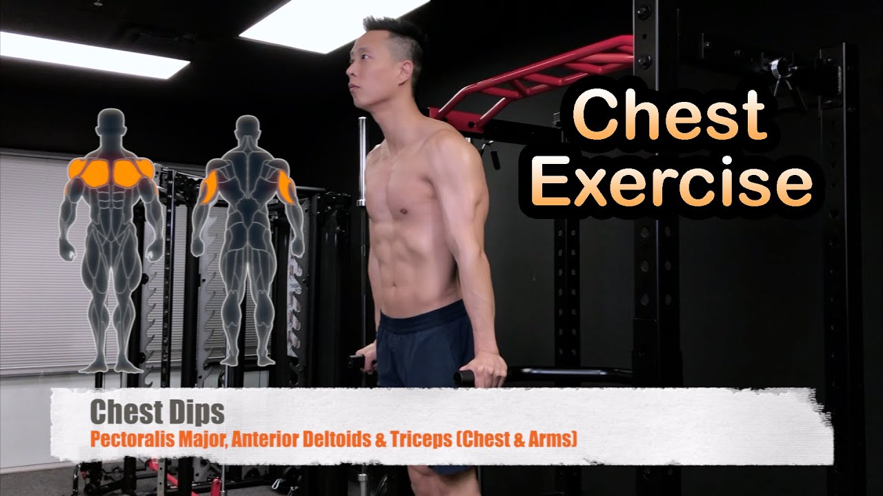 Chest Exercise - Chest Dips - Exercise Library - YouTube