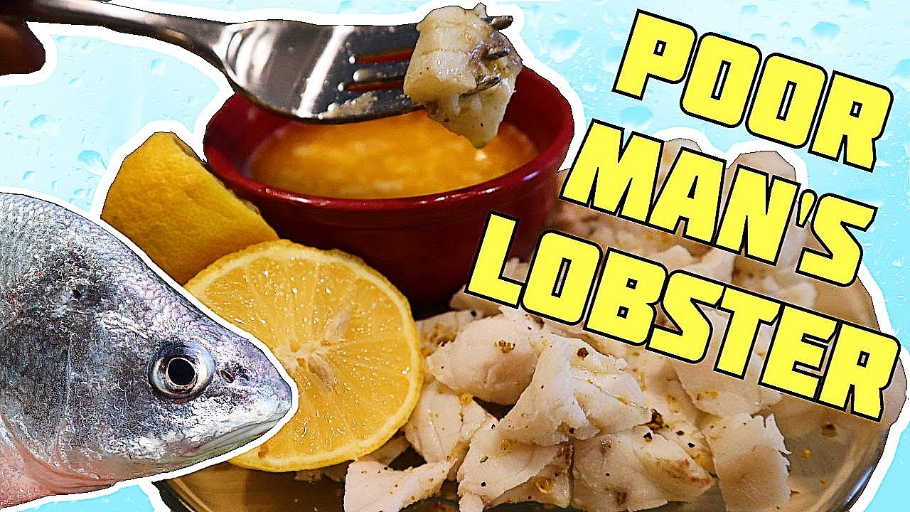 Don't throw that fish back! | Poor Man's Lobster Recipe | Catch Clean ...