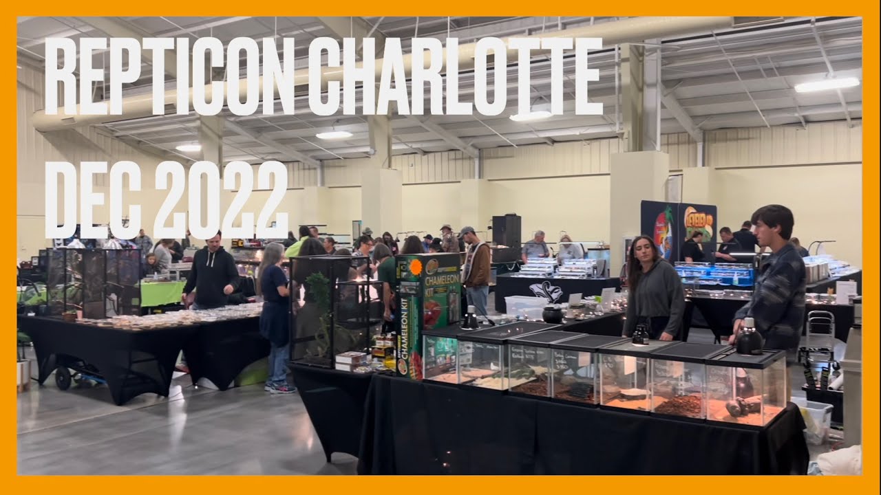 REPTICON Charlotte 2022 And What I Got - YouTube