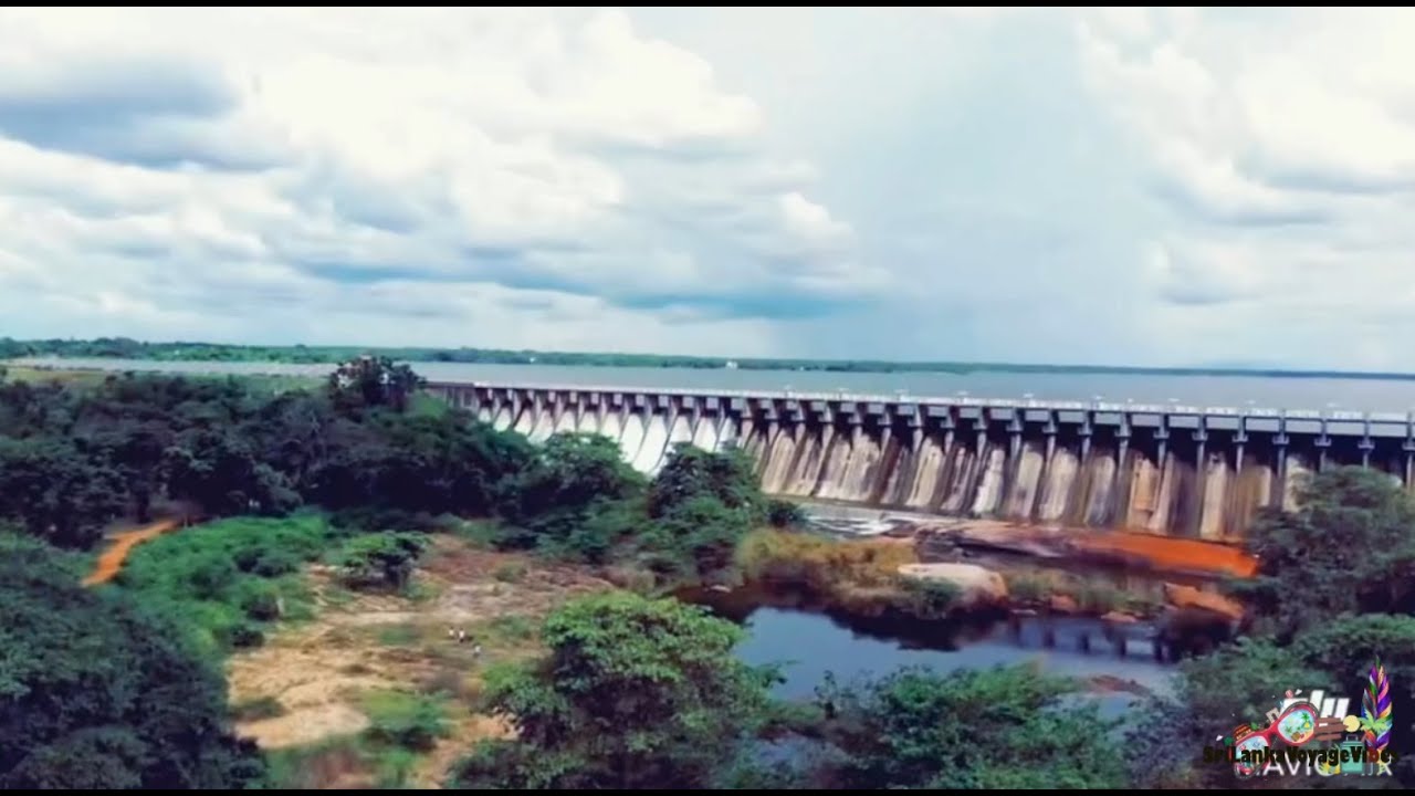 Rajanganya dam | රාජන්ගනය වැව😍😍 #travel #rajanganaya # ...