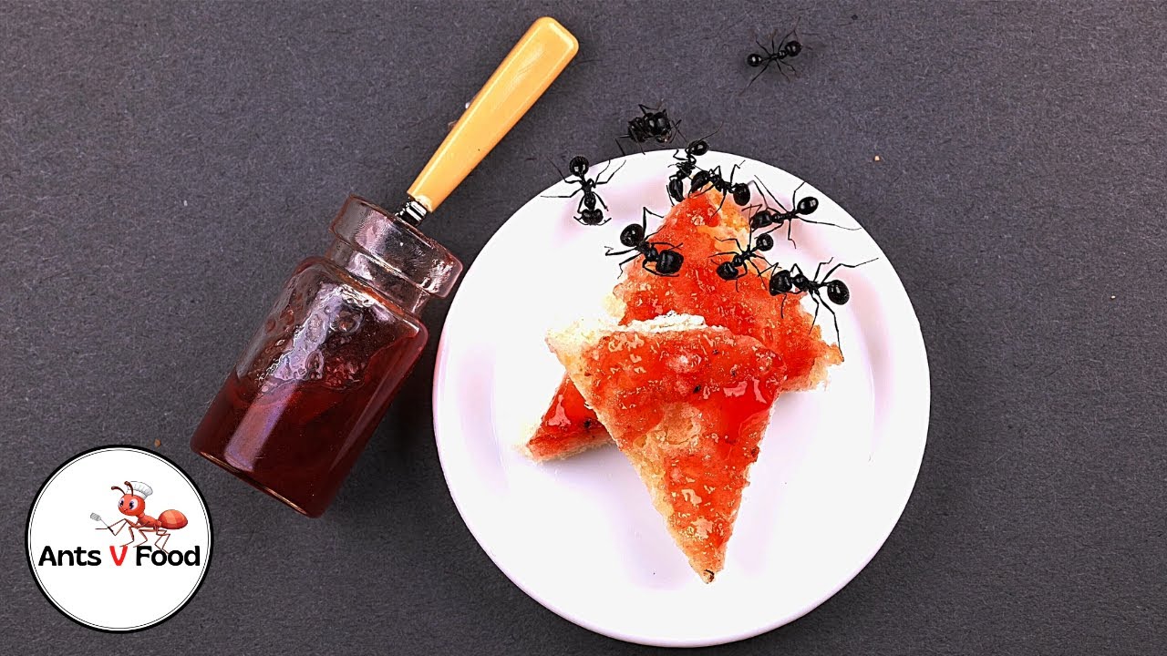 Ant Colony vs Jam on Toast Time-Lapse - YouTube