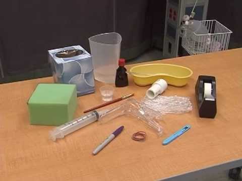 Creating a Uterus Model - YouTube