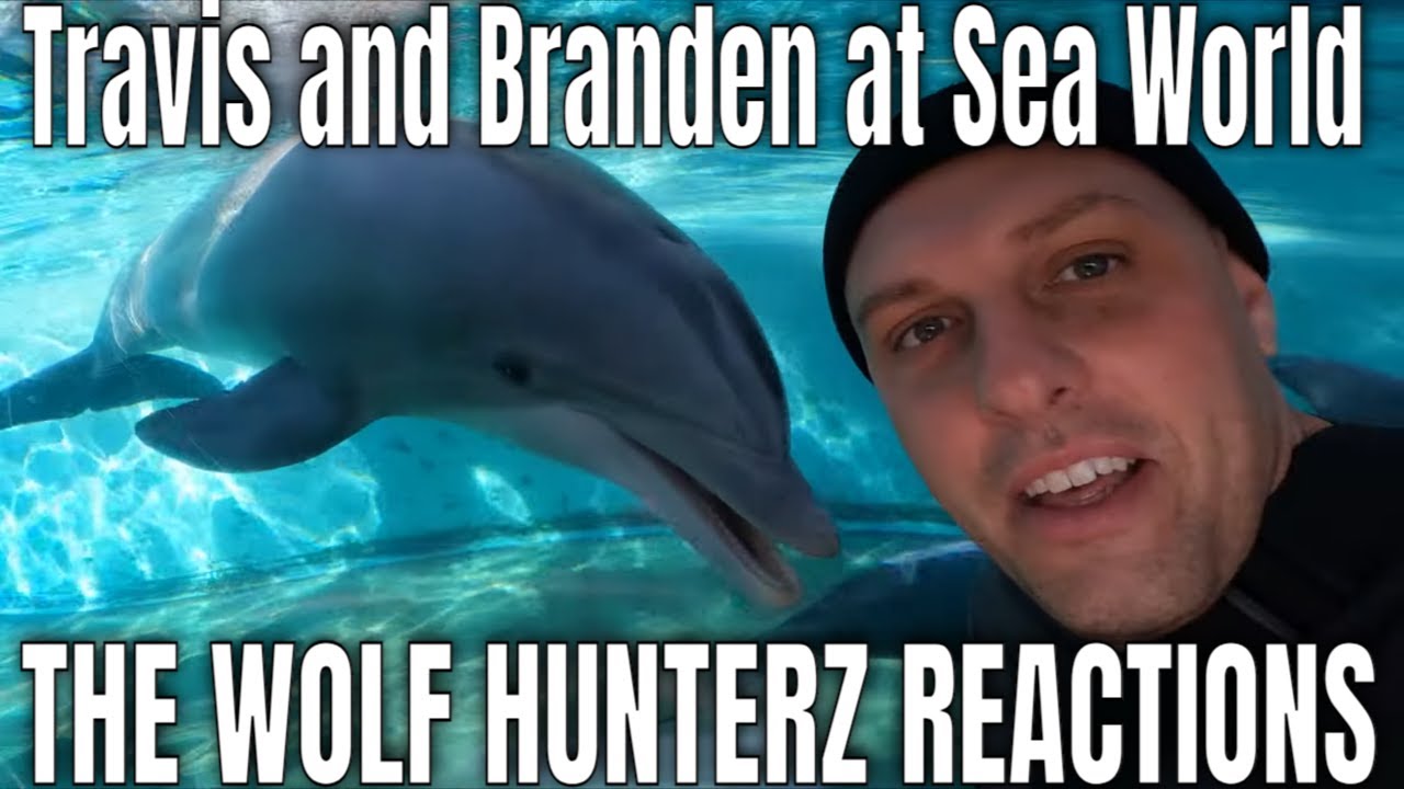 Travis & Branden at Sea World | Manta Best Roller Coaster, Dolphins, Sealions THE WOLF HUNTERZ ...