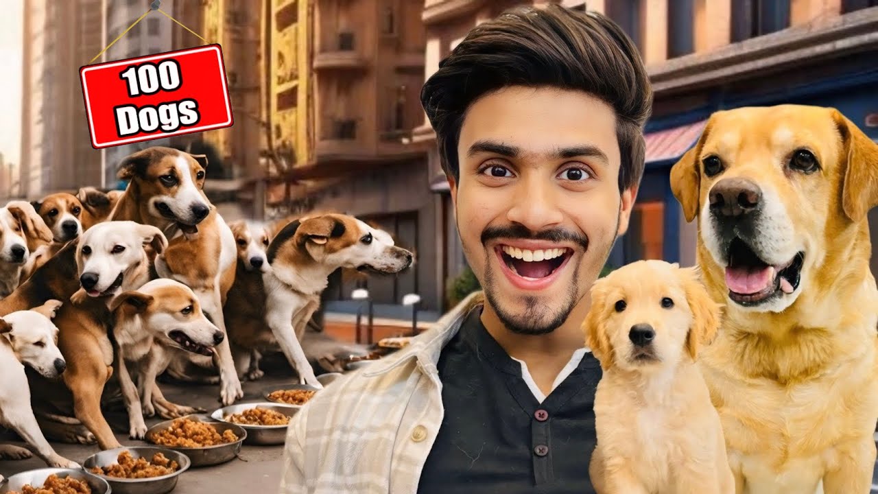 My Birthday Celebration | I Fed 100 Stray Animals | Anant Rastogi - YouTube