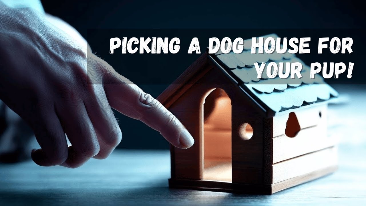Picking A Dog House For Your Pup - YouTube