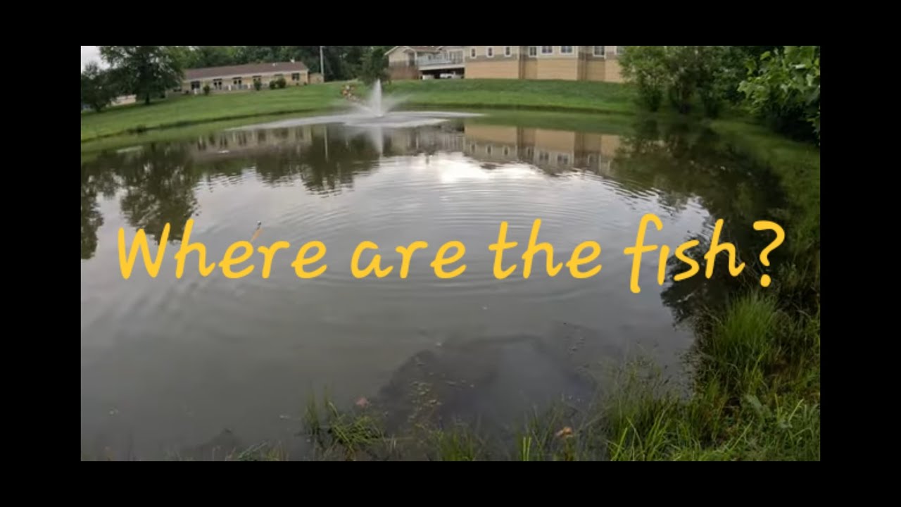 Where are the fish!!!! - YouTube
