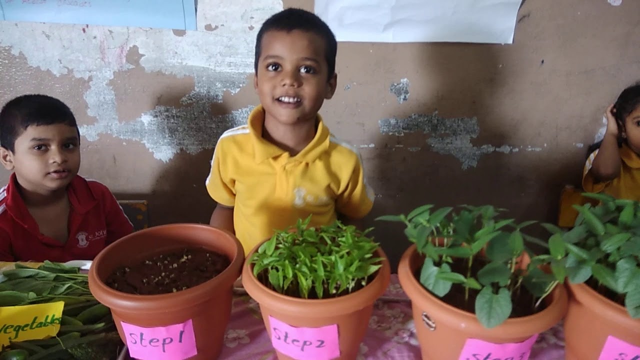 Sai Praneeth, Seed Germination project - YouTube