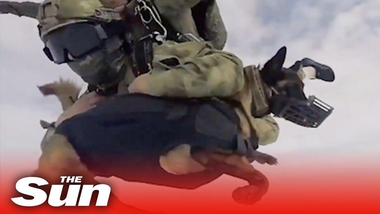 Russia's paratroopers jump from planes with DOGS - YouTube