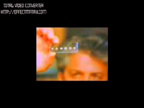Egészségbentartás a Celladam-Vitacell segítségével - YouTube