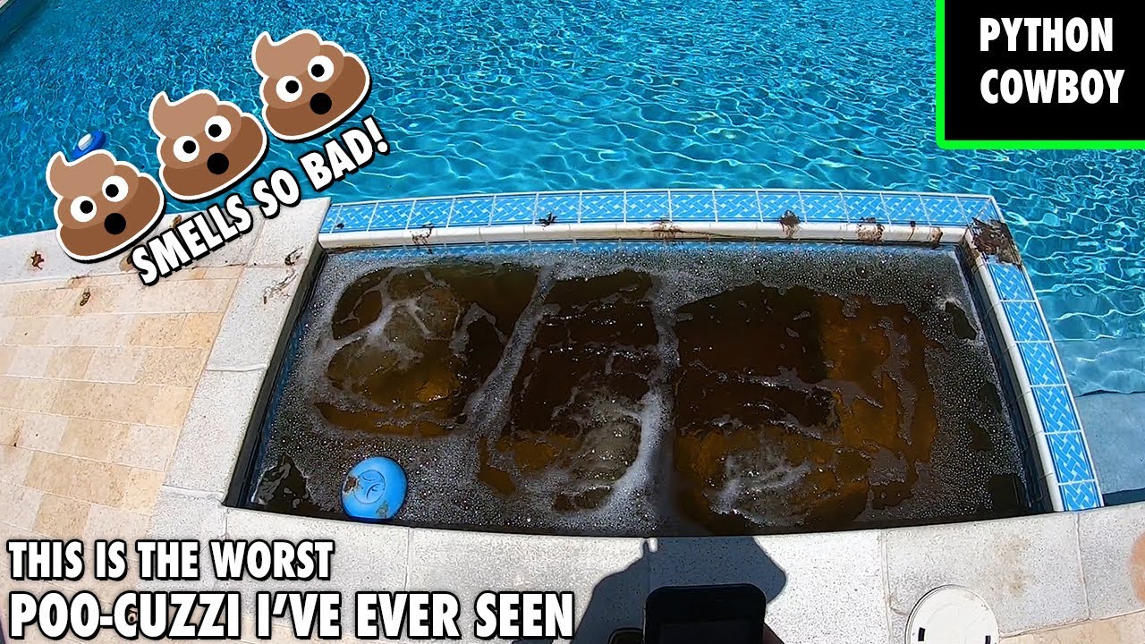 Iguana Pool Poopers Gone Wild - YouTube