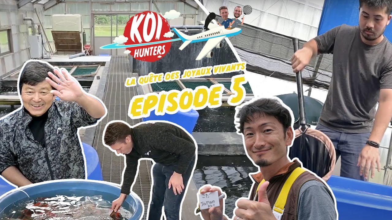 Koi Hunters - La quête des joyaux vivants - Episode 5 - YouTube