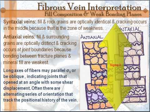 Vein Geology