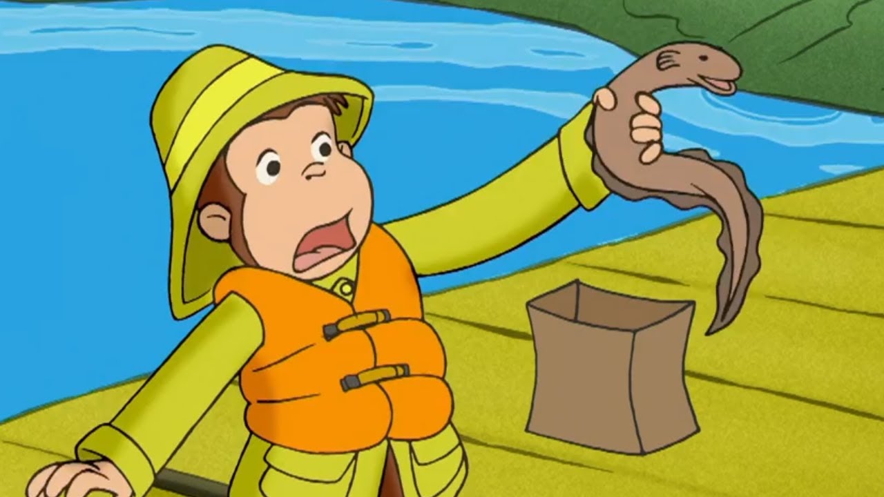 Curious George 🐵George and The One that Got Away 🐵 Kids Cartoon 🐵 Kids ...