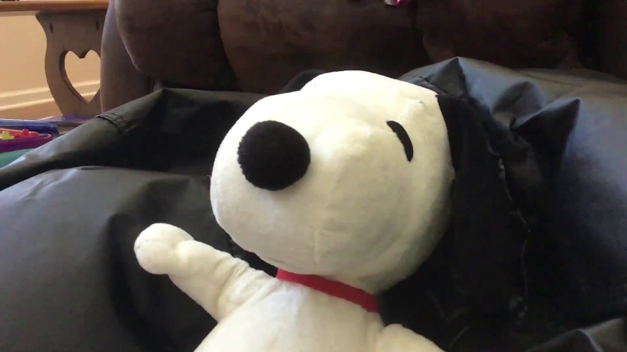 Snoopy's Bark Show Fun Facts - Episode 1 - YouTube