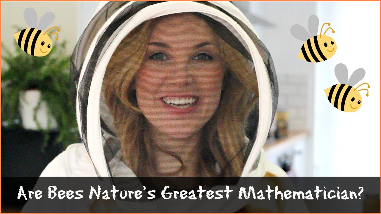 Why bees are so good at Math! | Beekeeping with Maddie #4 - YouTube