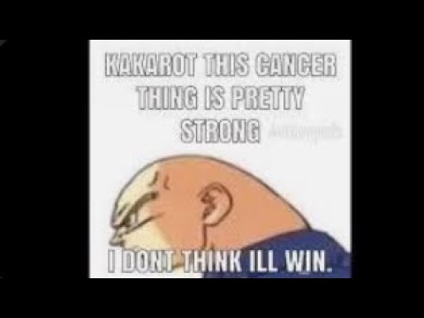 Vegeta's cancer stopmotion #dbzstopmotion - YouTube