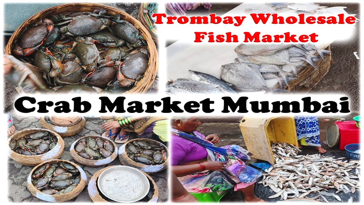 गावातील खेकड्यांचा लिलाव /Trombay Koliwada Village Fish Market #seafood ...