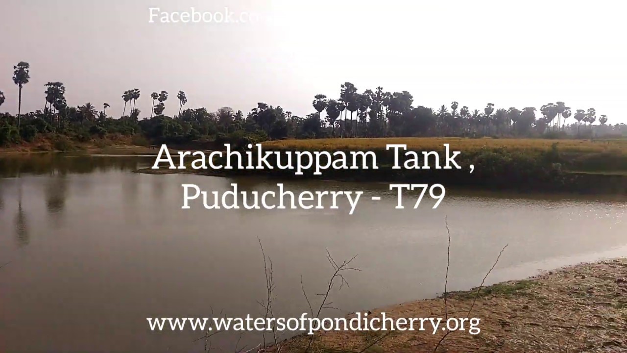 Arachikuppam Tank , Puducherry - T79 - YouTube